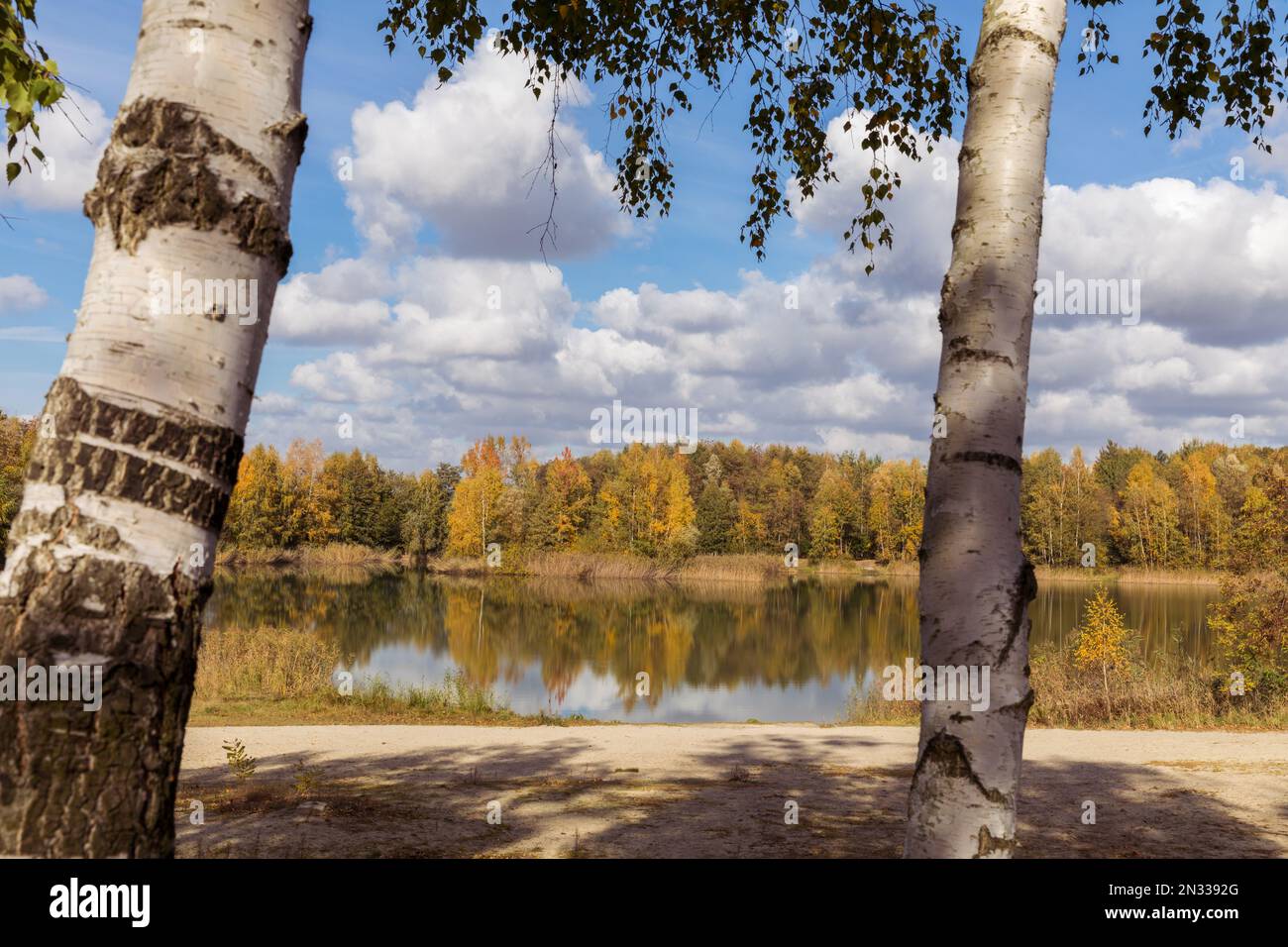 Two trees no leaf hi-res stock photography and images - Alamy
