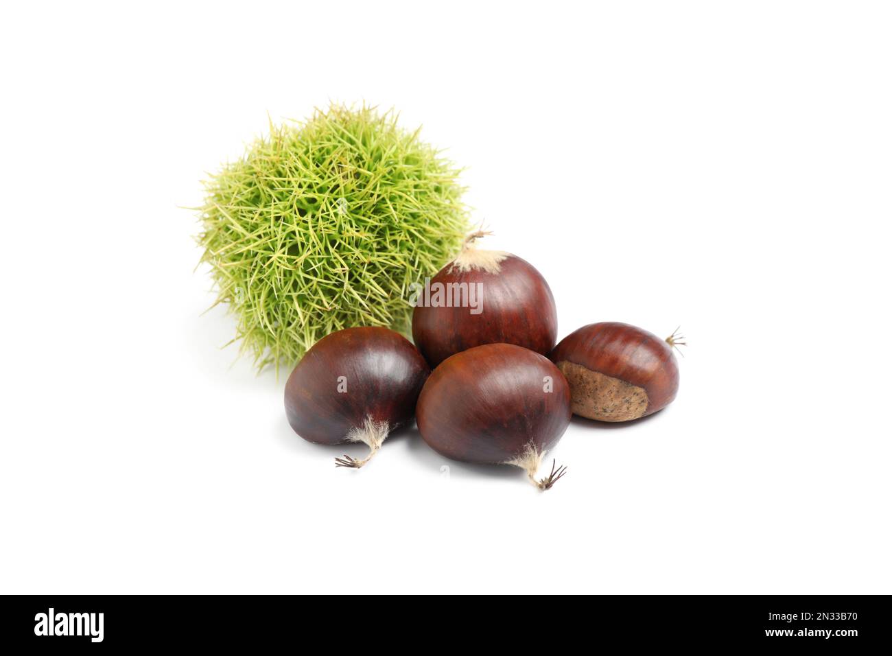 Fresh sweet edible chestnuts on white background Stock Photo - Alamy