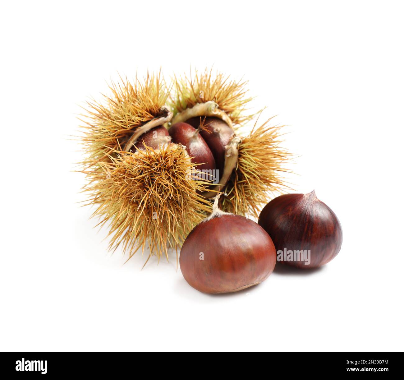 Fresh sweet edible chestnuts on white background Stock Photo - Alamy