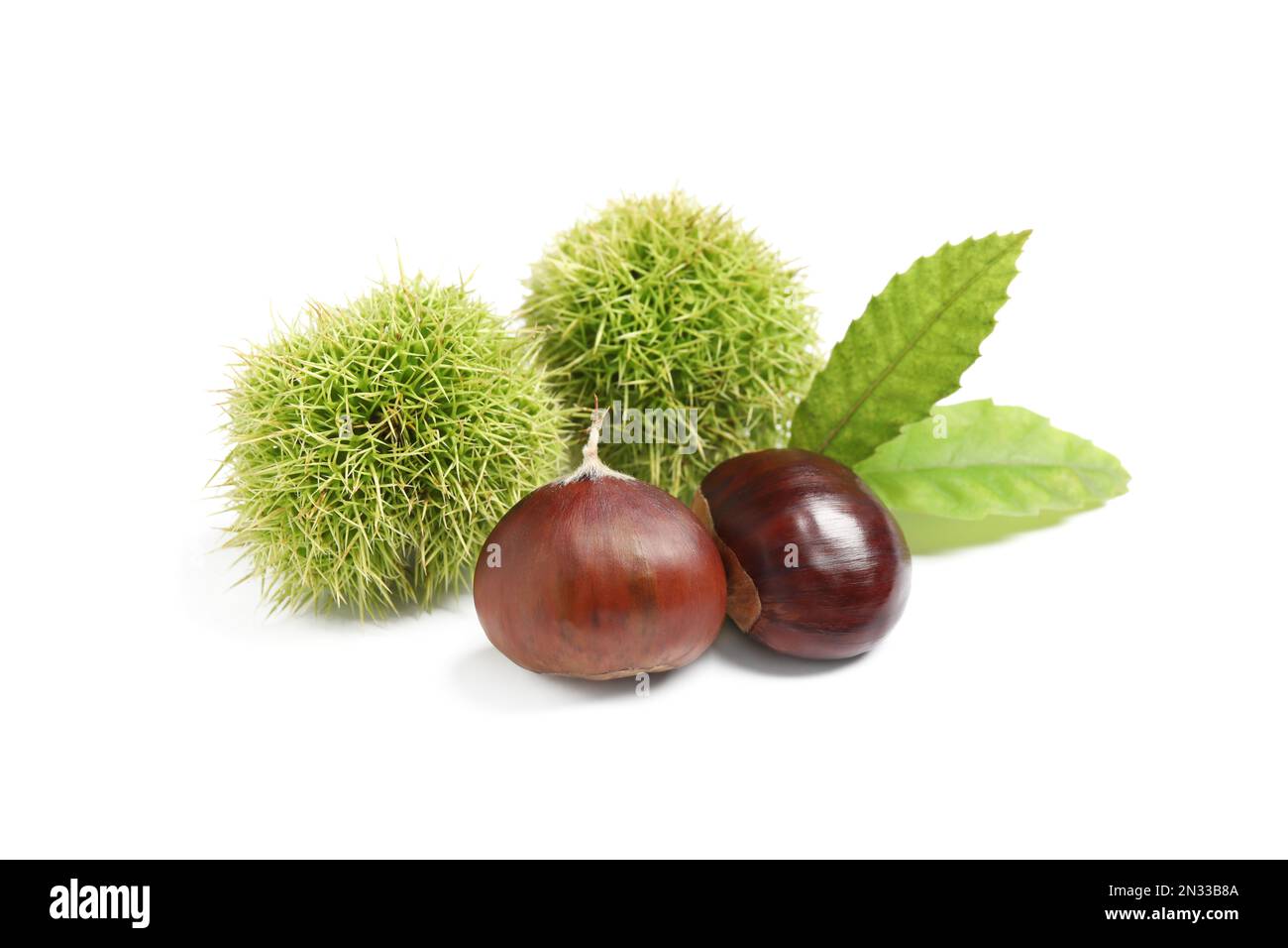 Fresh sweet edible chestnuts on white background Stock Photo - Alamy