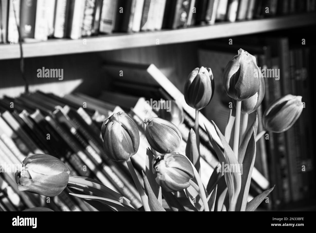 Children flower shop Black and White Stock Photos & Images - Alamy