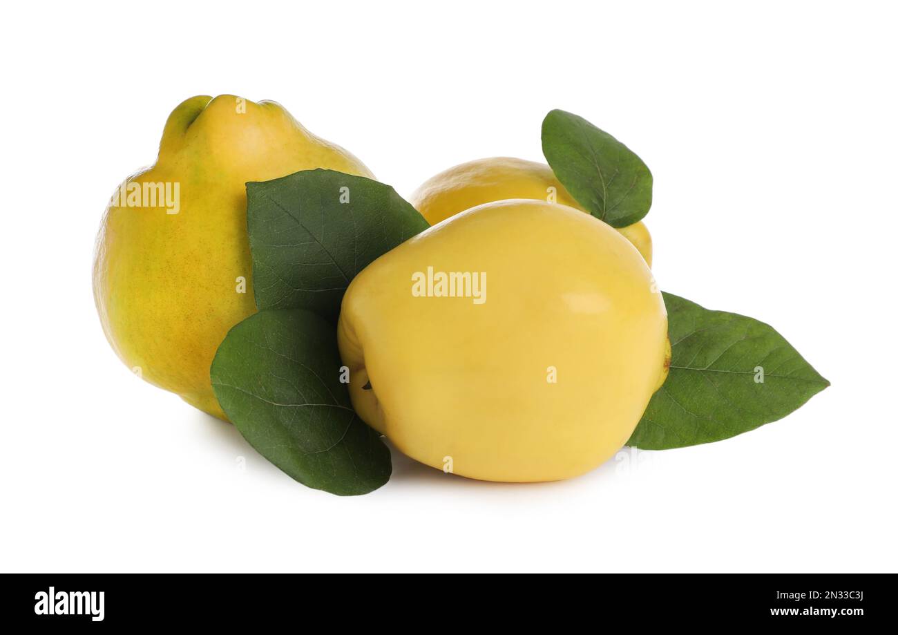 Ripe quinces with leaves on white background Stock Photo - Alamy