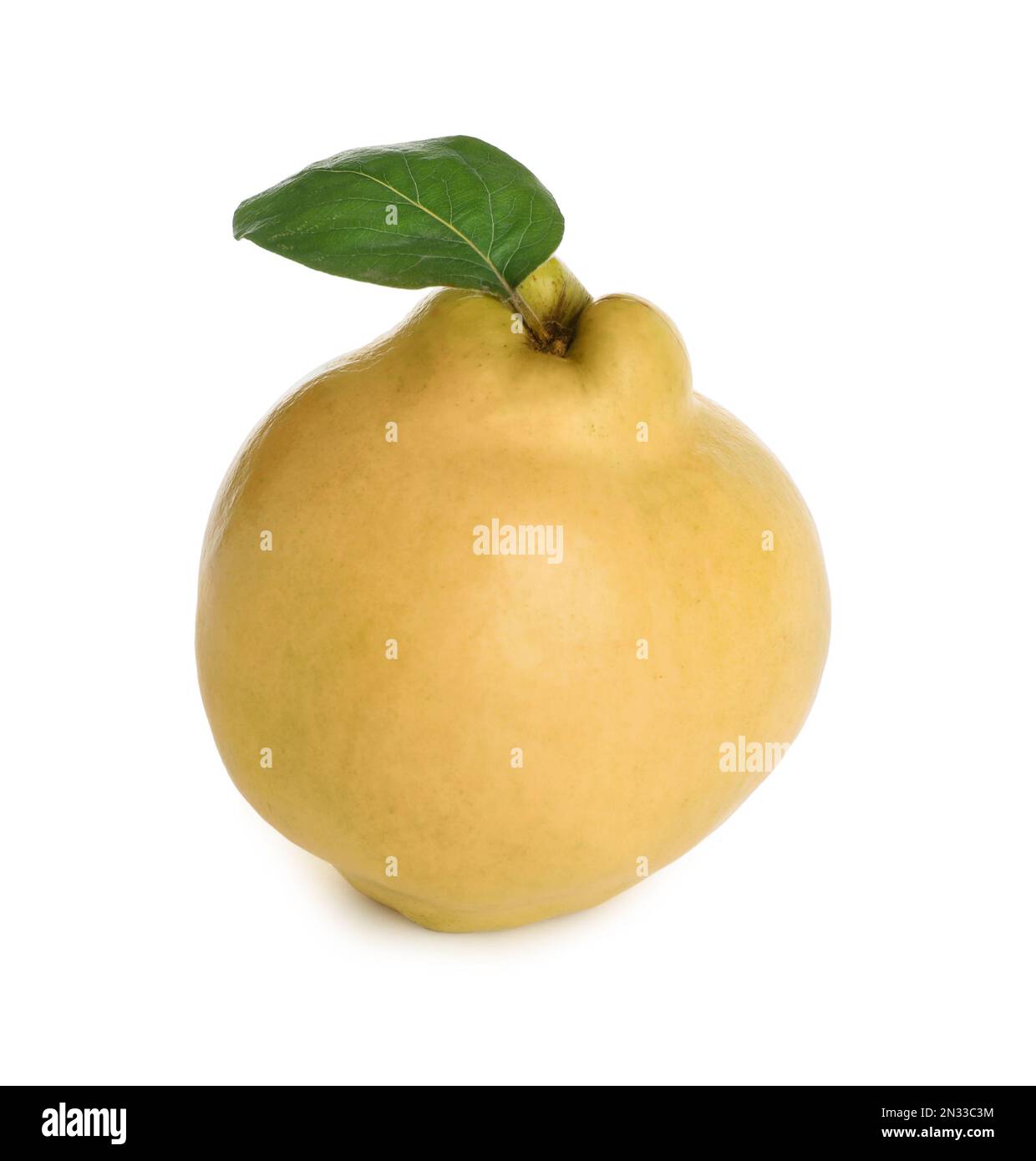 Fresh ripe quince with leaf on white background Stock Photo - Alamy