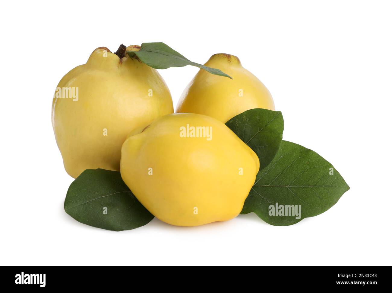 Ripe quinces with leaves on white background Stock Photo - Alamy