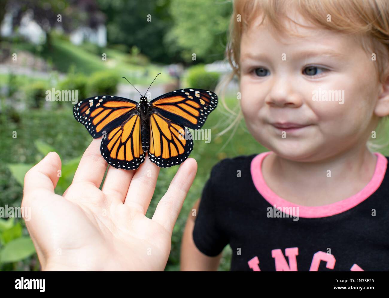 Child with butterfly. Toddler watching monarch butterfly Stock Photo - Alamy