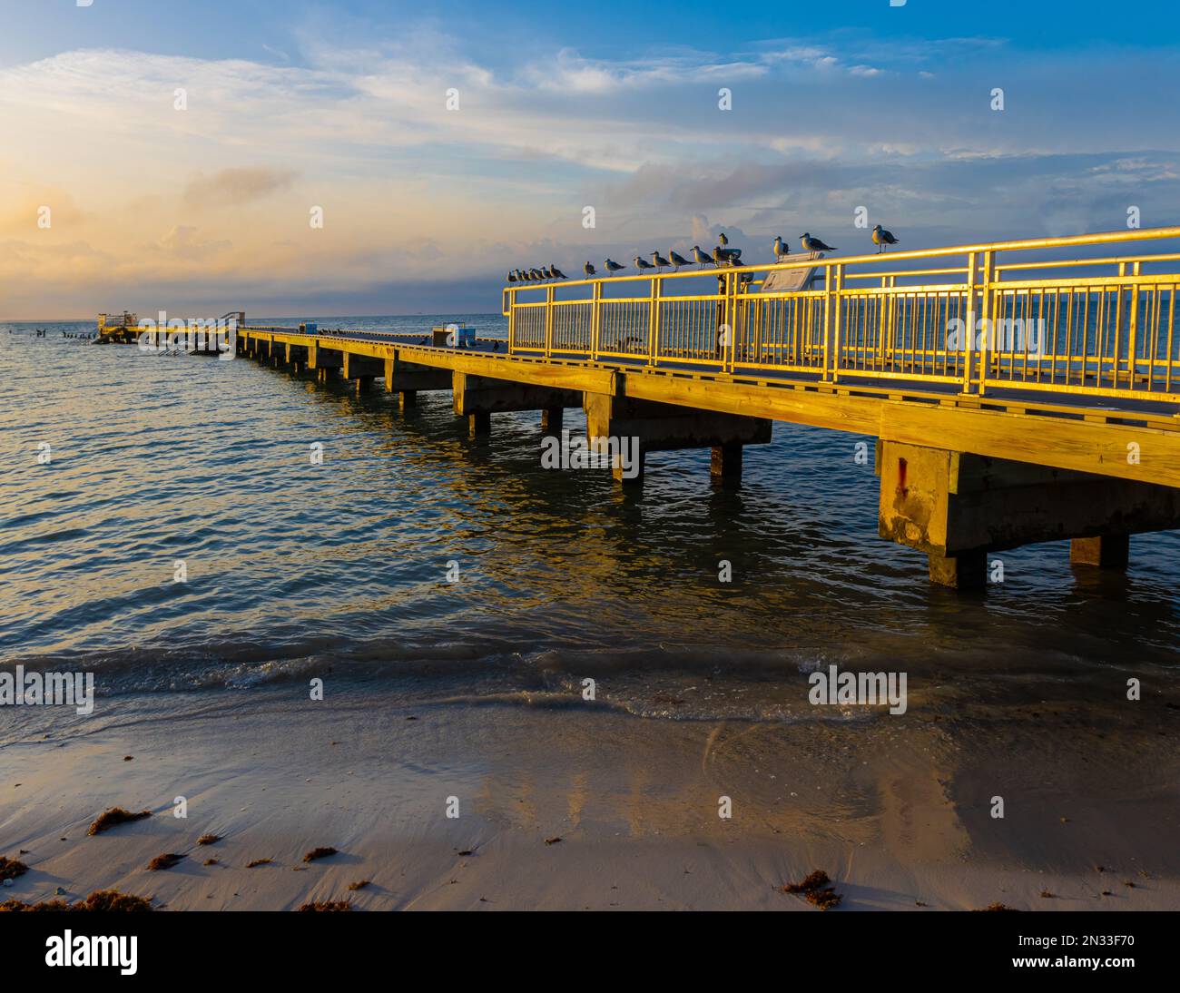 Higgs beach memorial park hi-res stock photography and images - Alamy