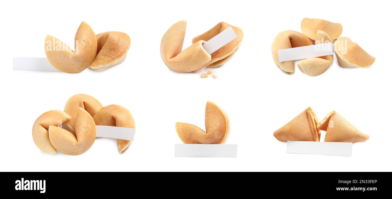 Set of fortune cookies on white background. Banner design Stock Photo ...