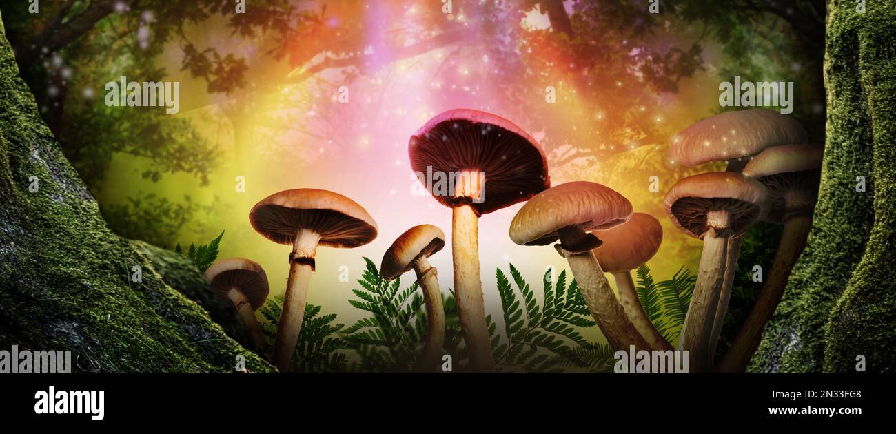 Fantasy world. Mushrooms lit by magic light in enchanted forest, banner ...