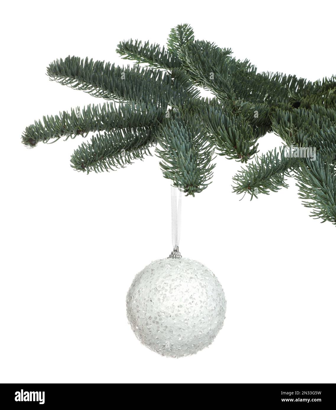 Beautiful Christmas ball hanging on fir tree branch against white ...