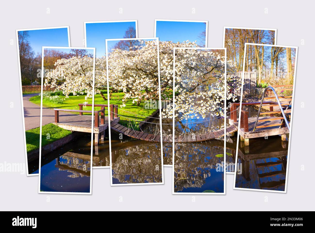 Isolated eight frames collage of picture of blooming sakura tree in ...