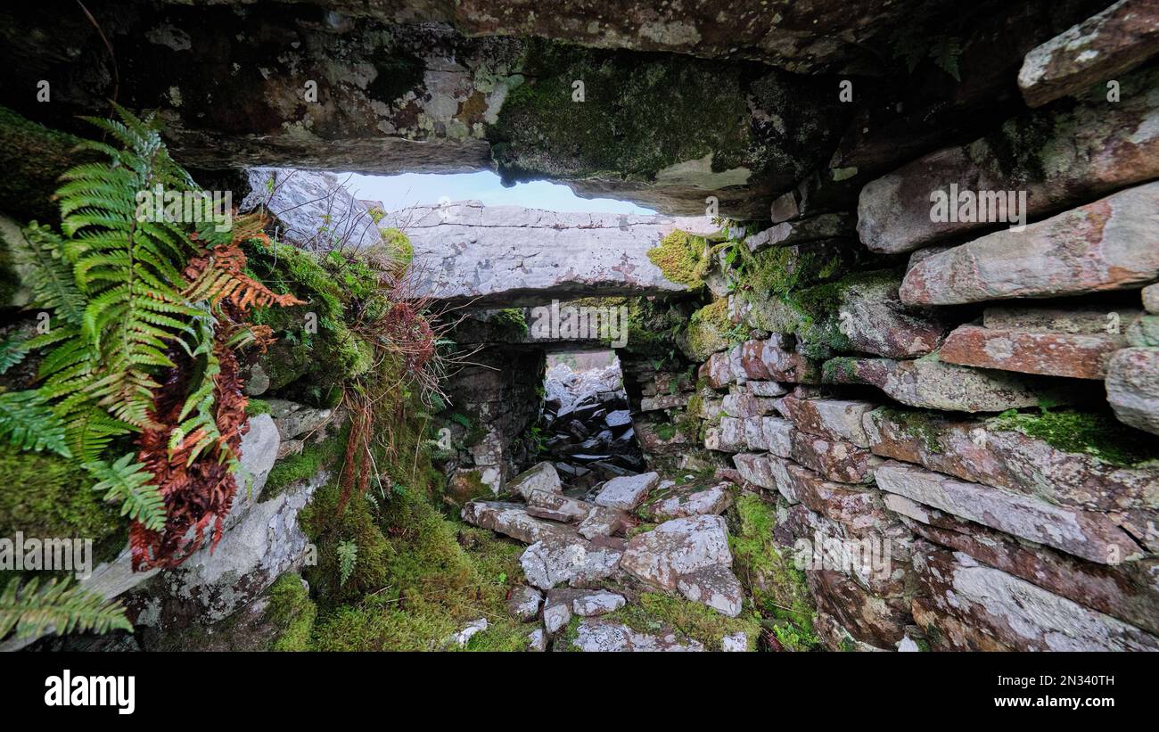 Backies broch hi-res stock photography and images - Alamy