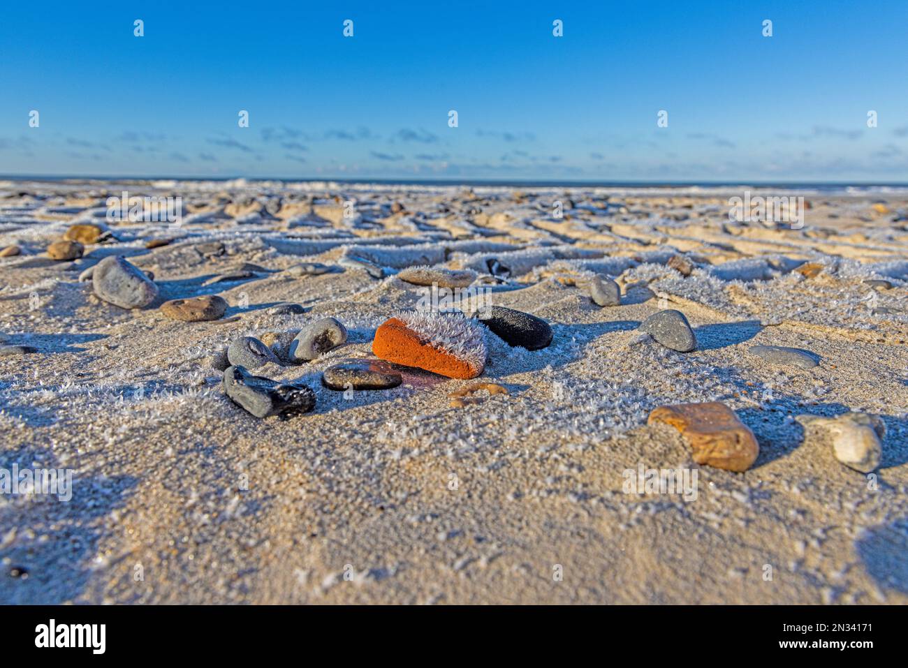Image of shells and stones on a North Sea beach in Denmark in winter ...