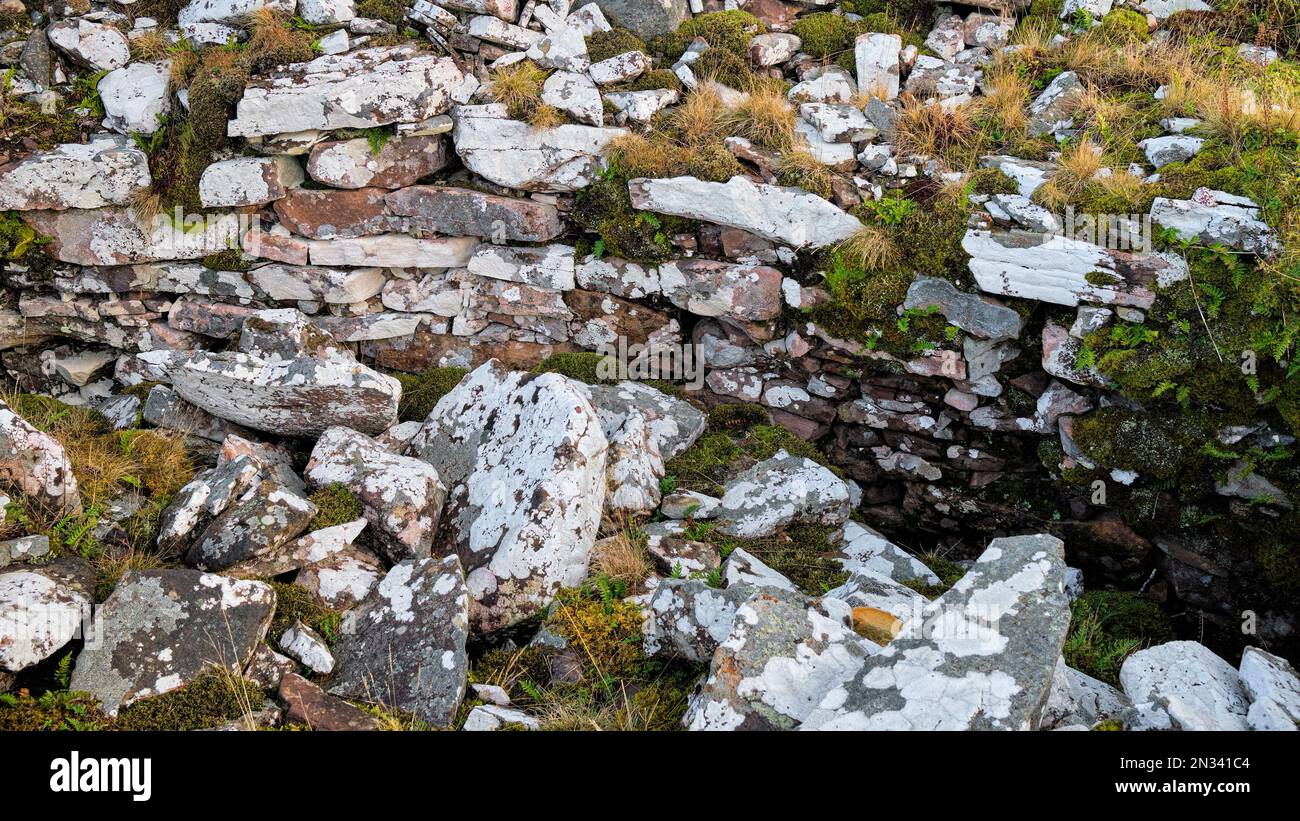Backies broch hi-res stock photography and images - Alamy