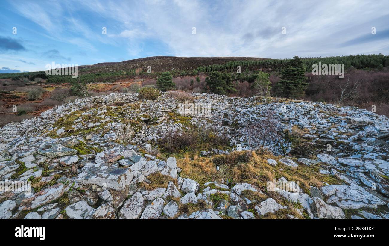 Backies broch hi-res stock photography and images - Alamy
