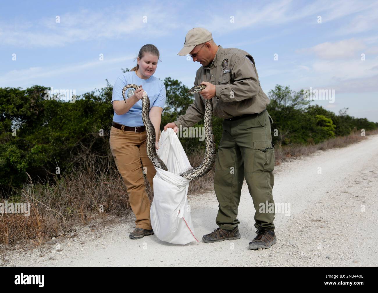 Jenny Ketterlin Eckles, left, and Edward Mercer, right, nonnative ...