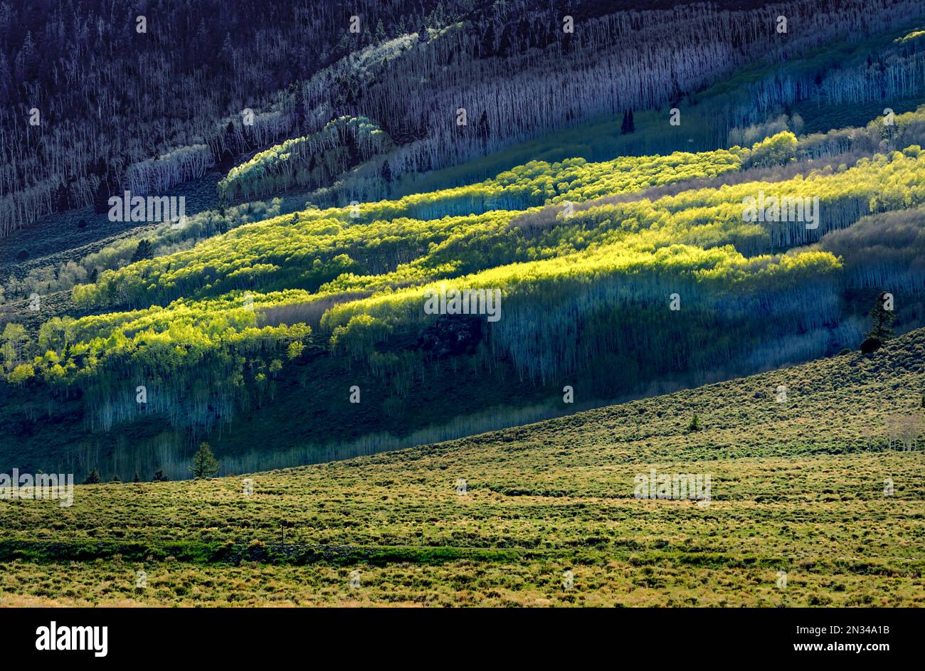 Capital Reef National Park Stock Photo - Alamy