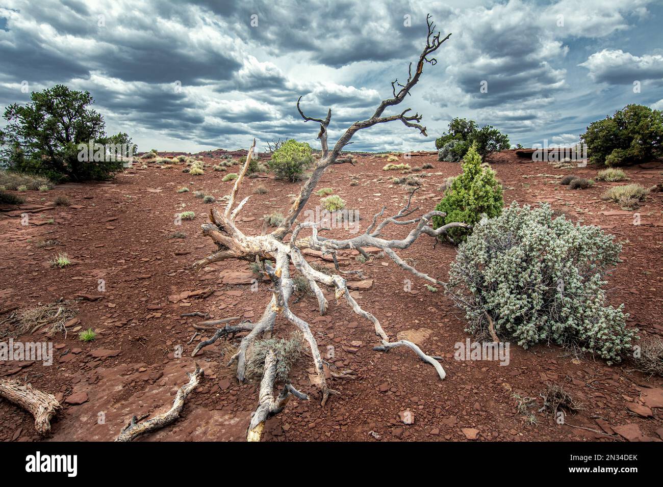 Capital Reef National Park Stock Photo - Alamy