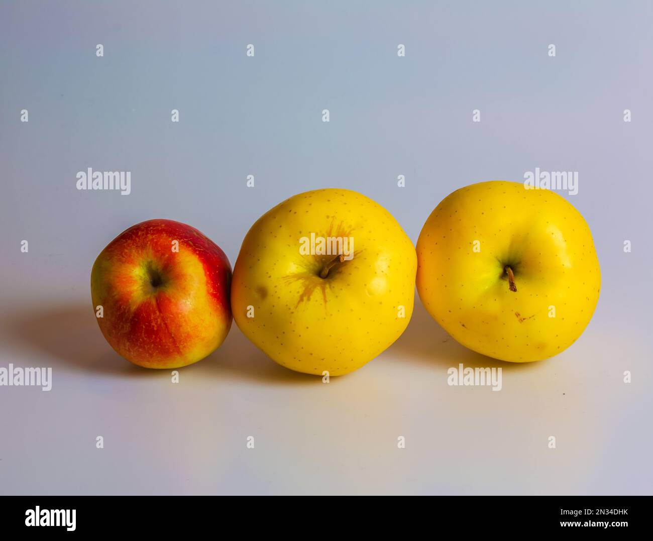 Yellow apples of the Golden Delicious variety on a white background ...