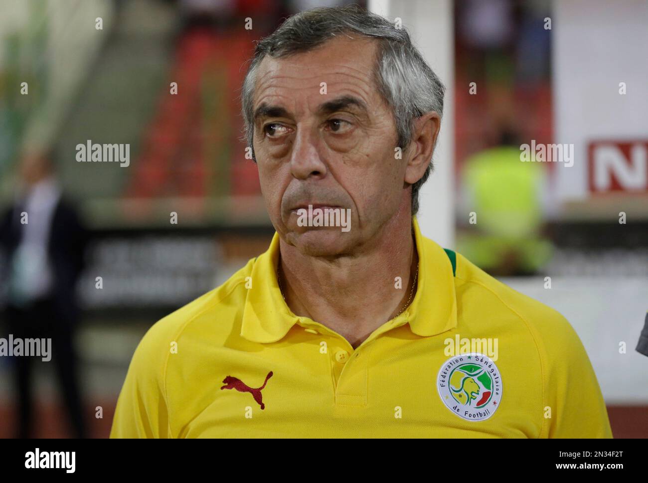 Senegal national soccer coach, Alain Giresse, before their African Cup ...