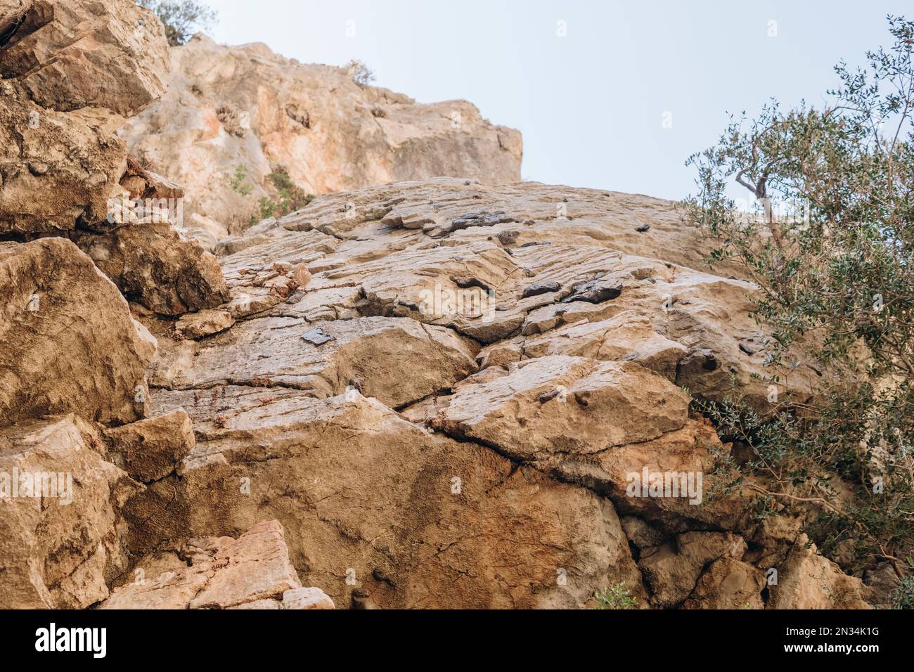 flint inside of limestone rocks in the bottom of Jacob's Canyon at ...