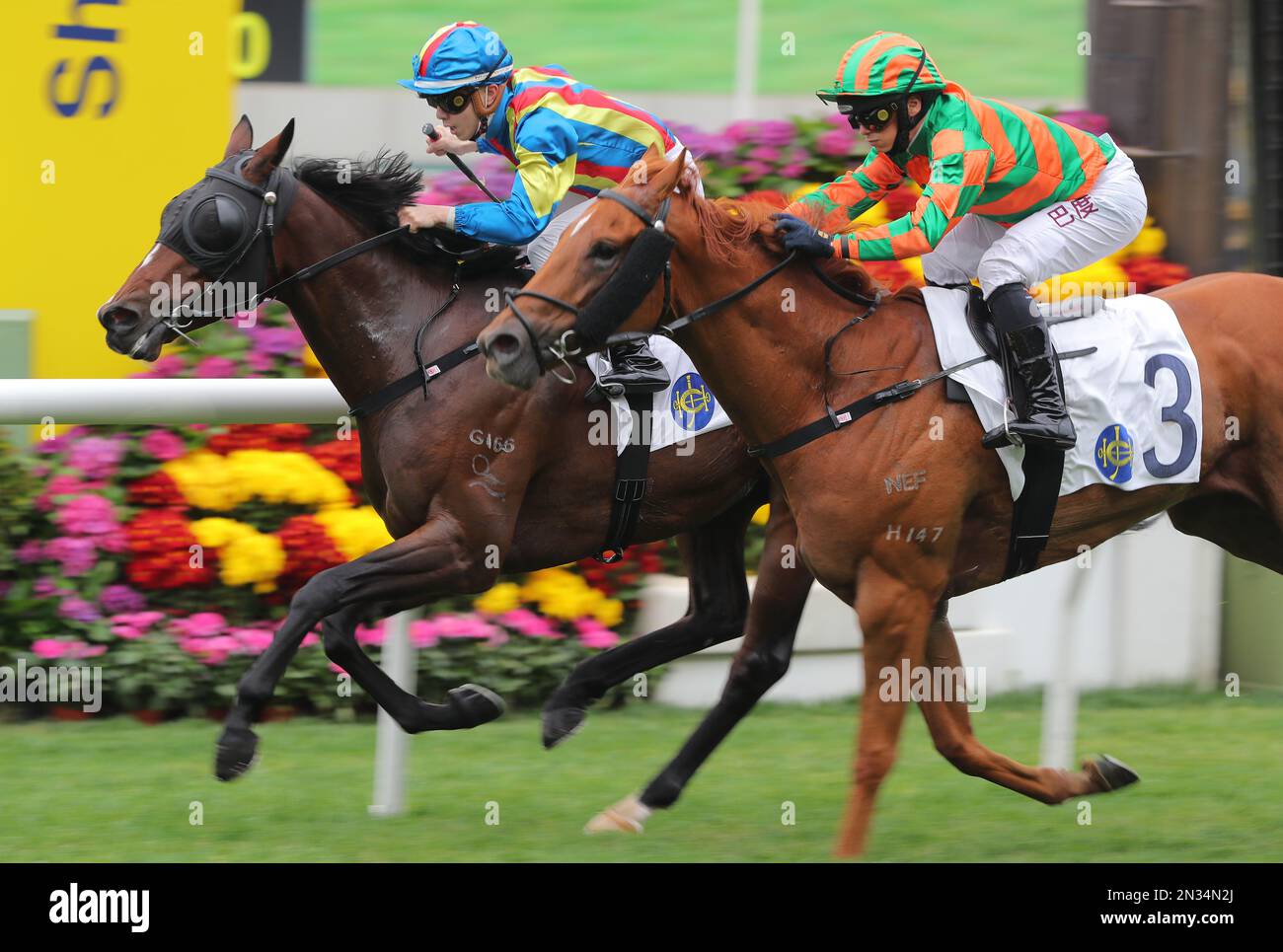 Yan oi tong hi-res stock photography and images - Alamy