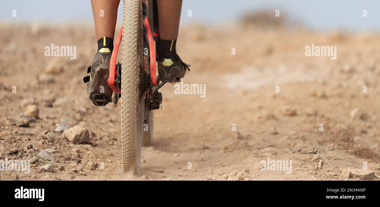 Mountain biker riding on bike singletrack trail, back view of mountain ...