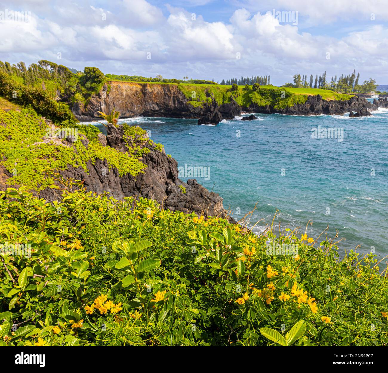 Maka maka hi-res stock photography and images - Alamy