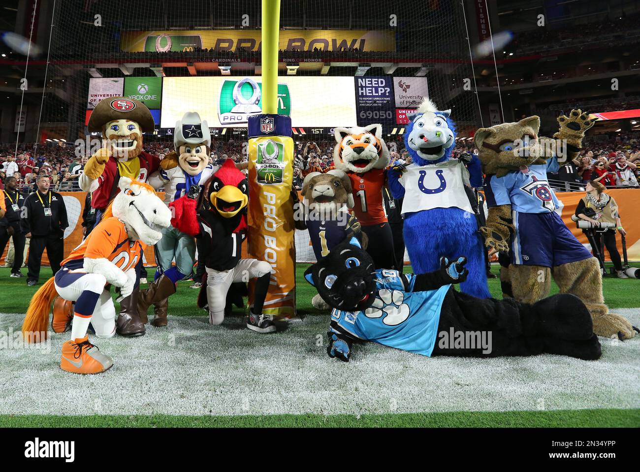 The Pro Bowl selected mascots pose for a photo prior to the NFL Pro ...
