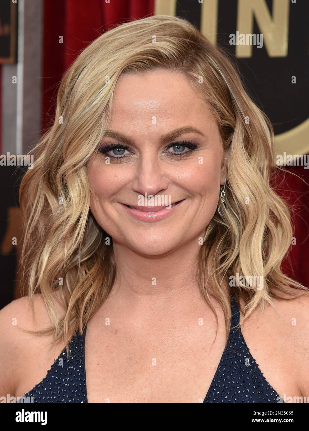 Amy Poehler arrives at the 21st annual Screen Actors Guild Awards at ...