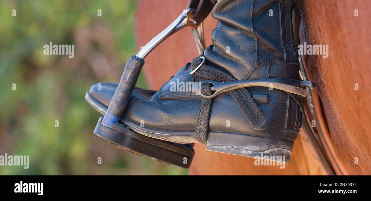 Foot of the athlete in a stirrup astride a horse, the foot of the rider ...
