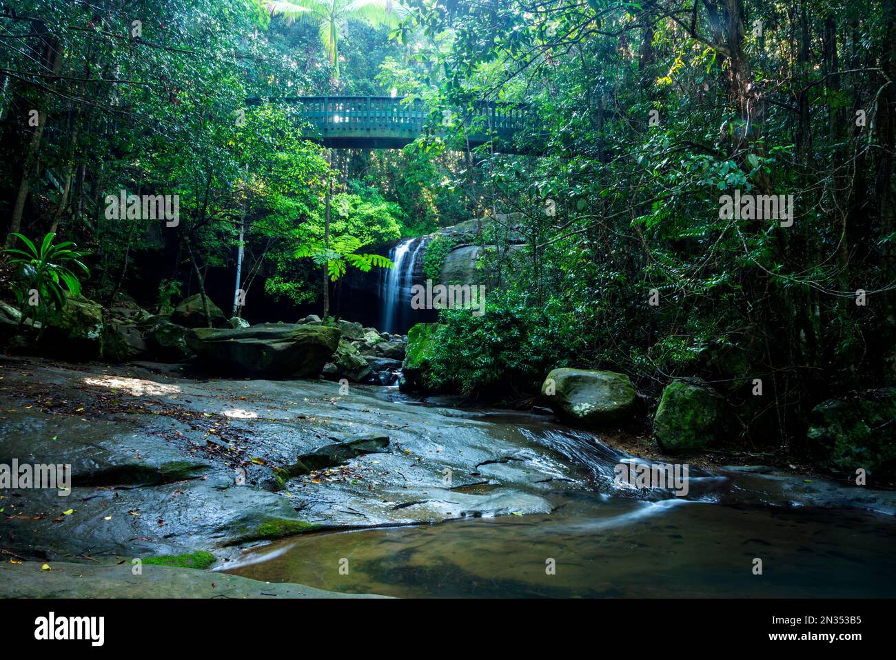 Buderim waterfalls also known as Serenity Falls is set in 45 hectares ...