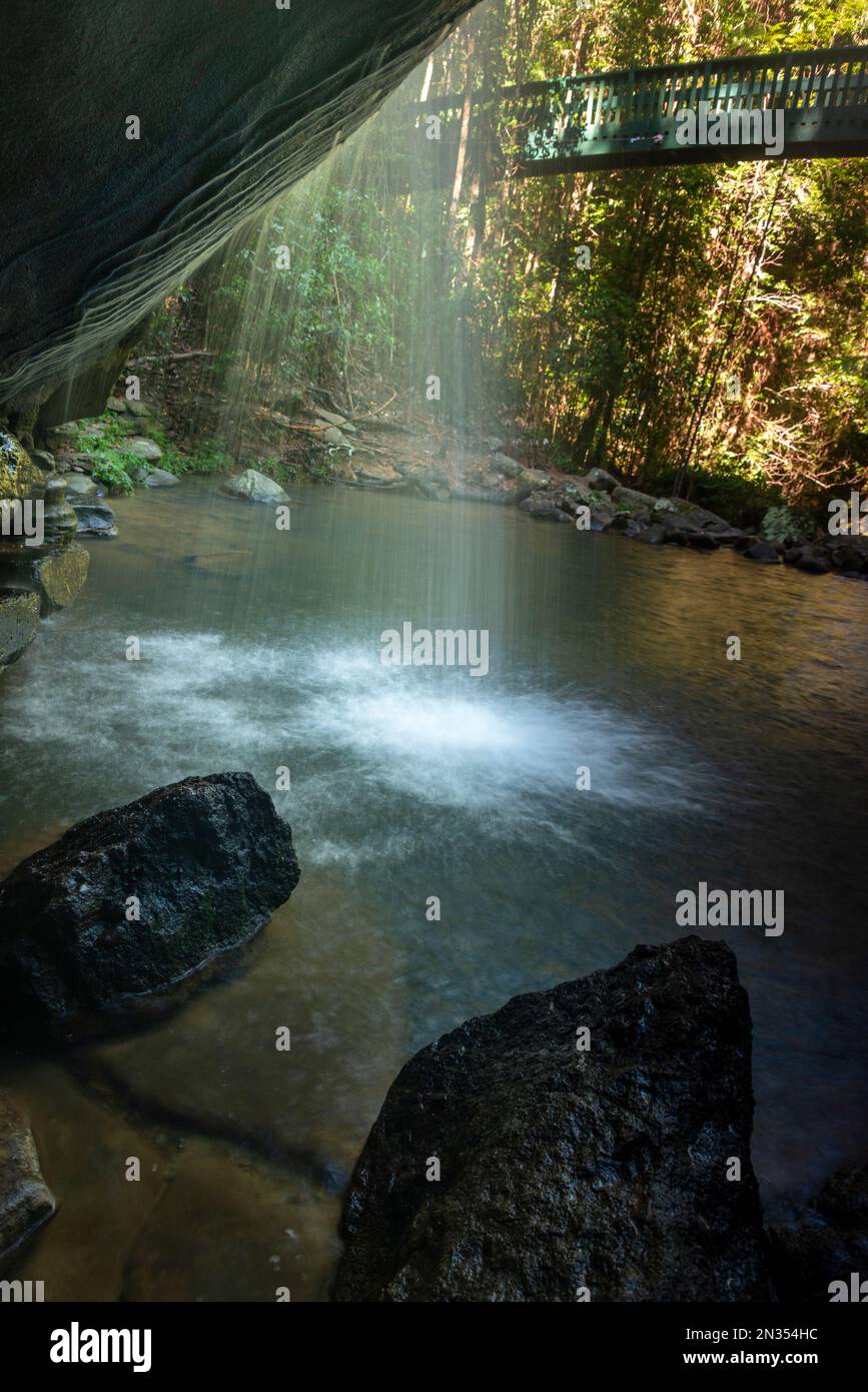 Buderim waterfalls also known as Serenity Falls is set in 45 hectares ...