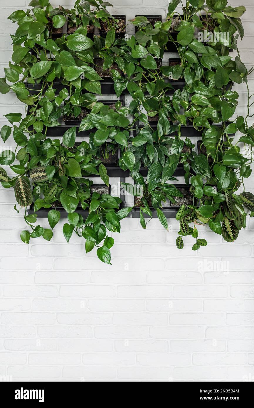 A white brick wall with greenery around the edges. Interior design in ...