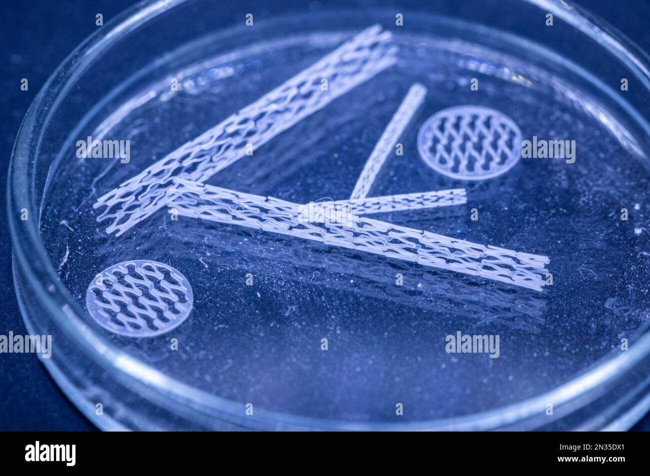 07 February 2023, Mecklenburg-Western Pomerania, Warnemünde: Special ...