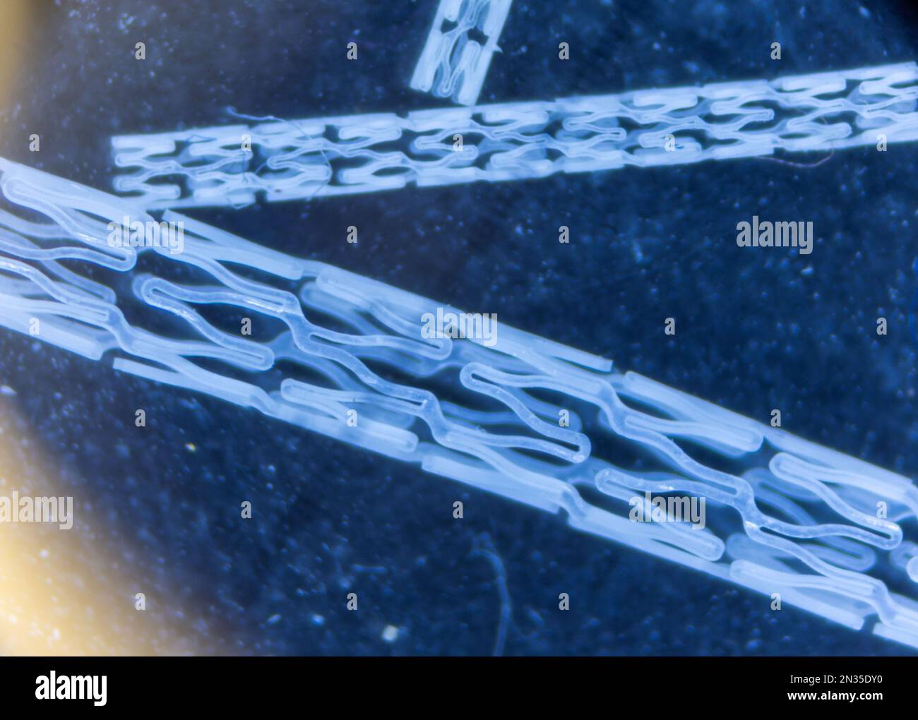07 February 2023, Mecklenburg-Western Pomerania, Warnemünde: Special ...