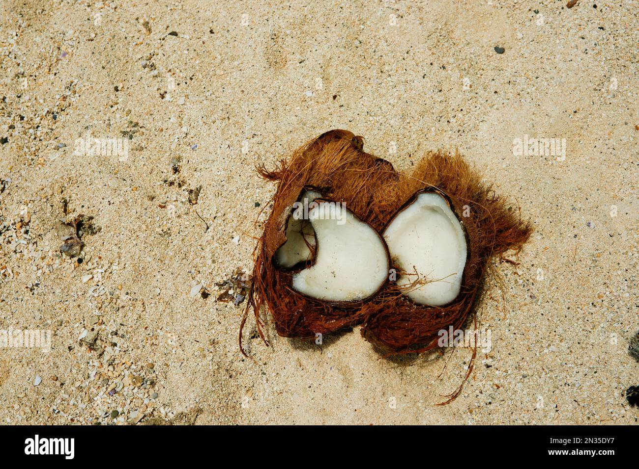 Washed up coconut hi-res stock photography and images - Alamy