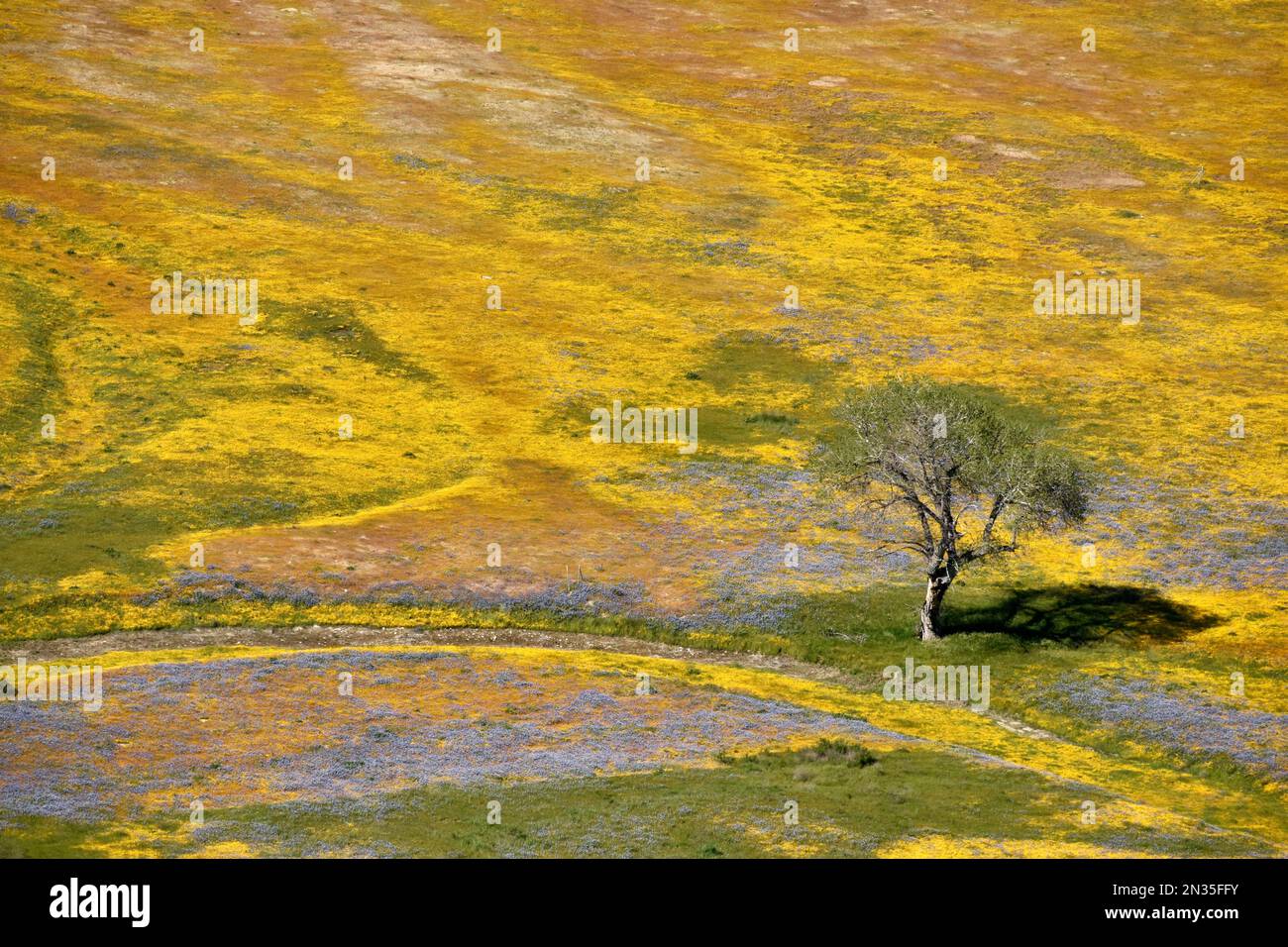Aerials of Fort Hunter Liggett, California and surrounding areas, April ...