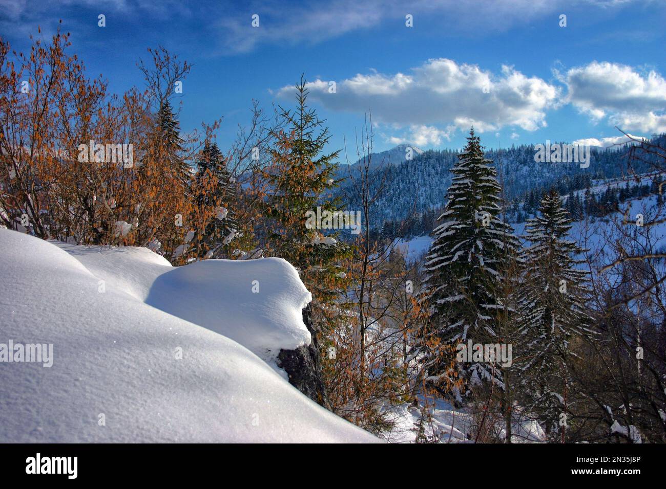 Hiking Accursed Mountains (Albanian Alps) in Rugova gorge in Peja ...