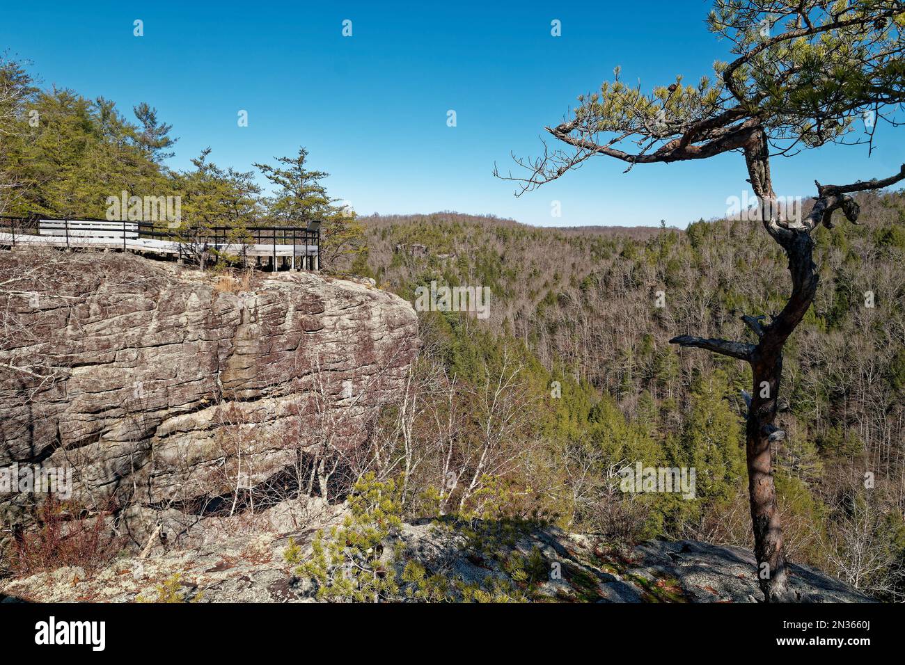 Looking across at the observation deck on a rock outcrop at Lilly bluff ...