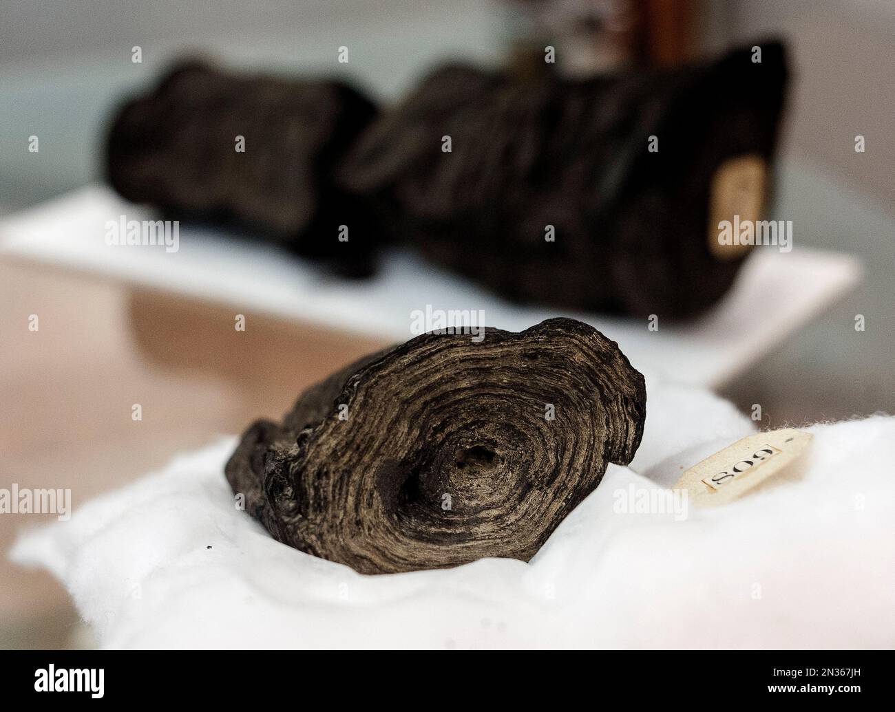 Ancient scrolls, completely covered in blazing-hot volcanic material ...