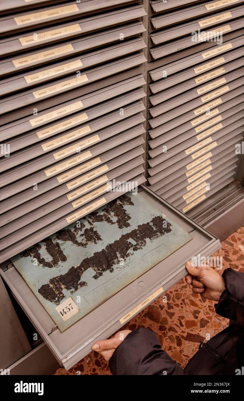 A woman shows the remains of an ancient papyrus at the Naples' National ...