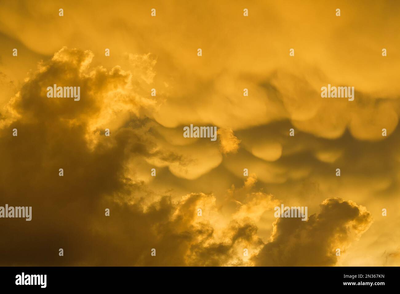 Sunset golden sky with clouds as background Stock Photo - Alamy