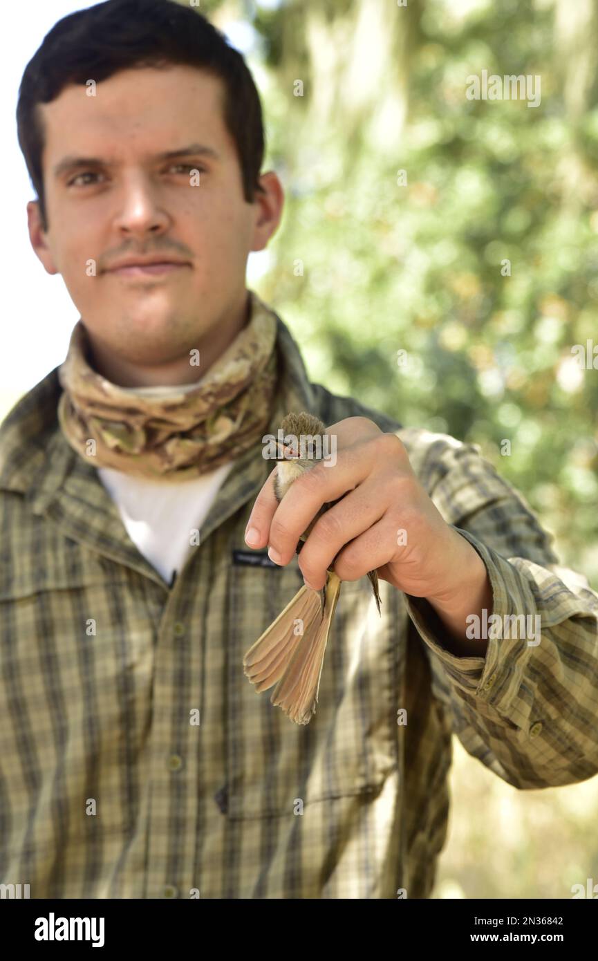 Fort Hunter Liggett, CA environmental team bands ash-throated ...