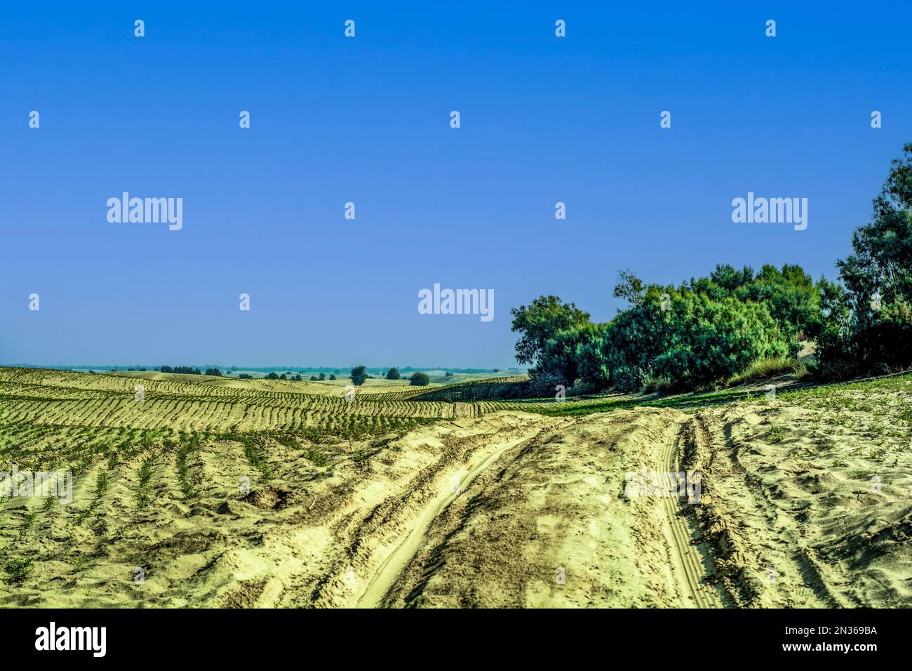Thar desert food hi-res stock photography and images - Alamy