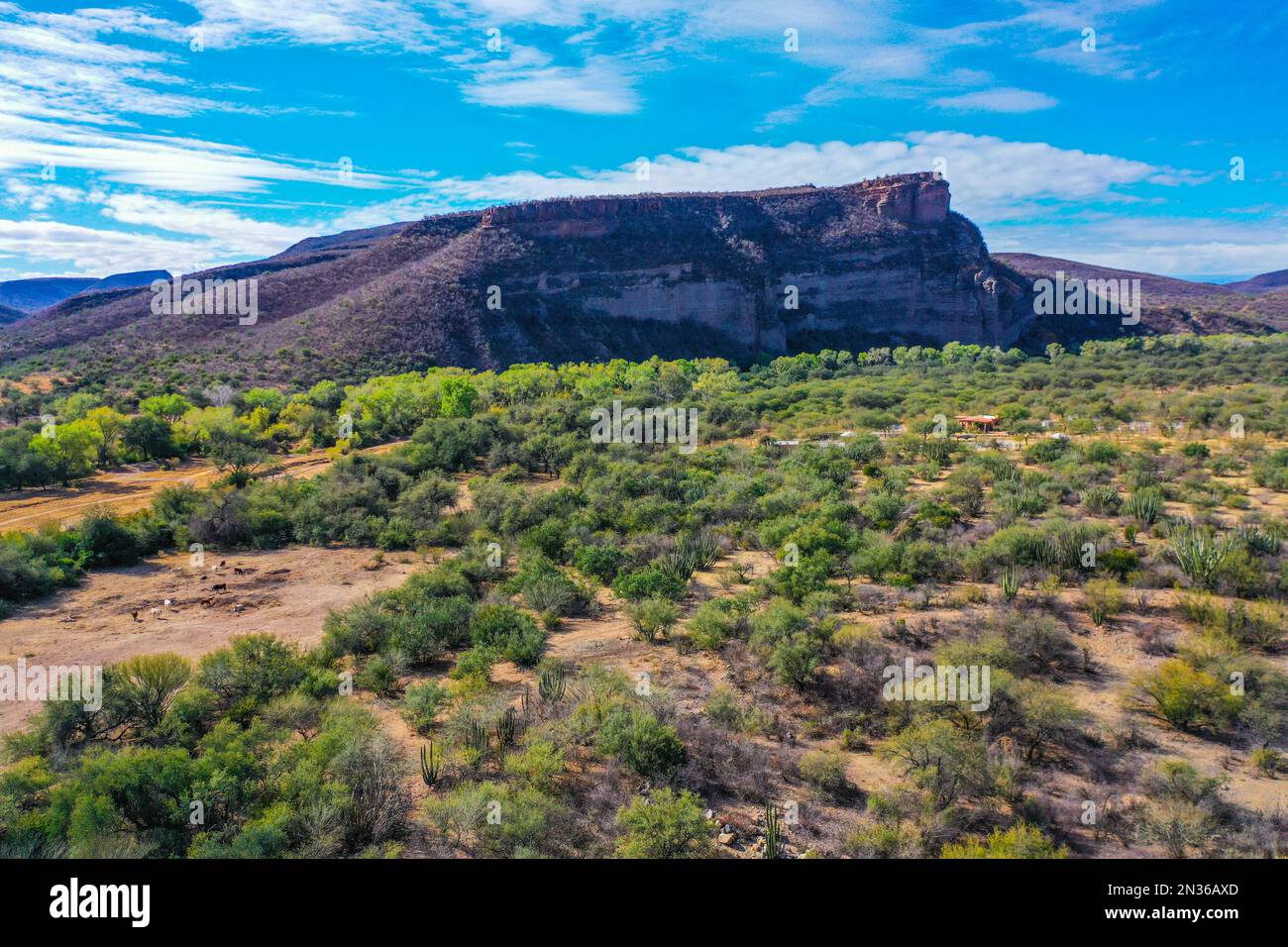 Biodiversidad en mexico hi-res stock photography and images - Alamy