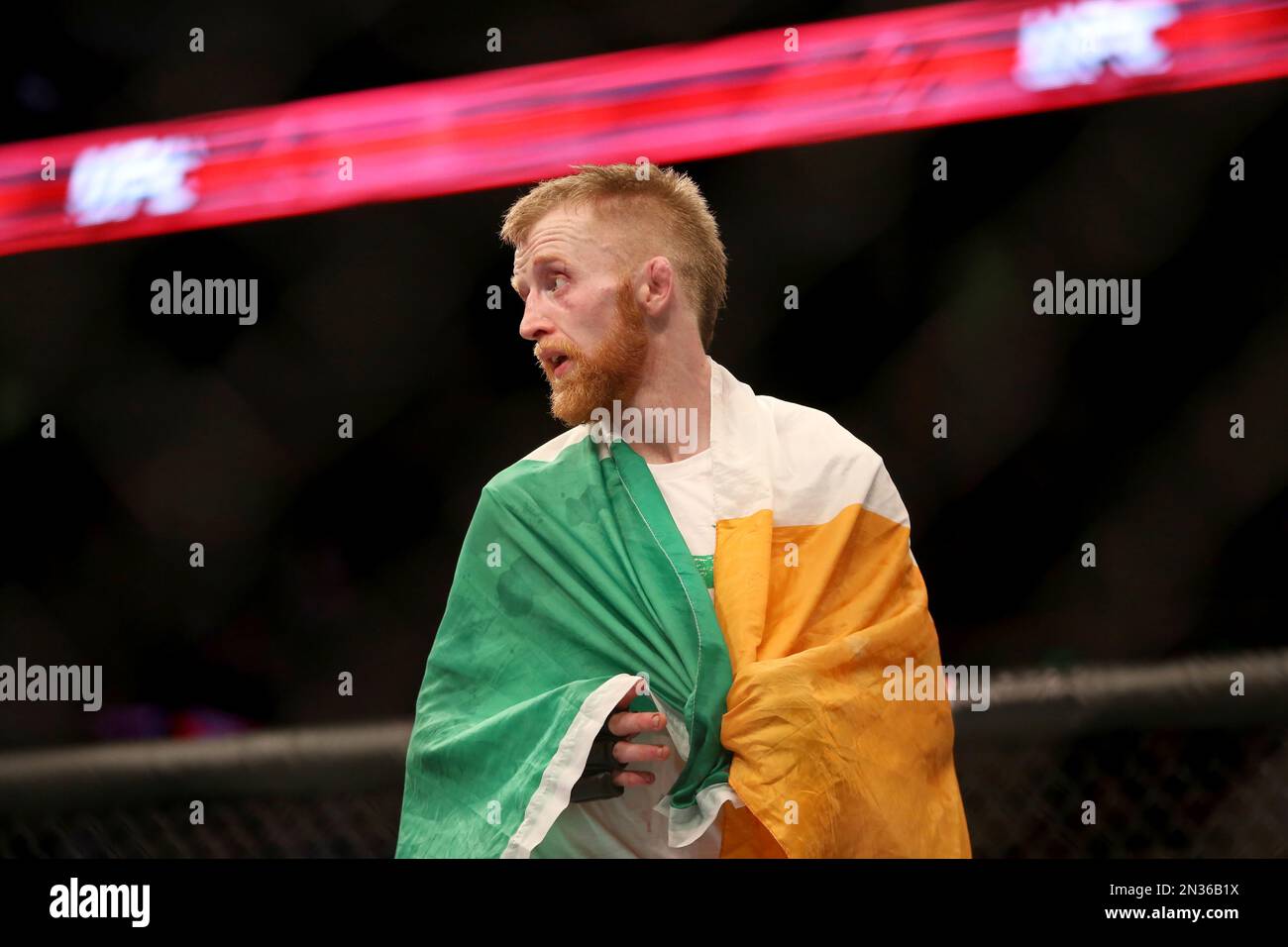 Paddy Holohan celebrates a win against Shane Howell during their fight ...