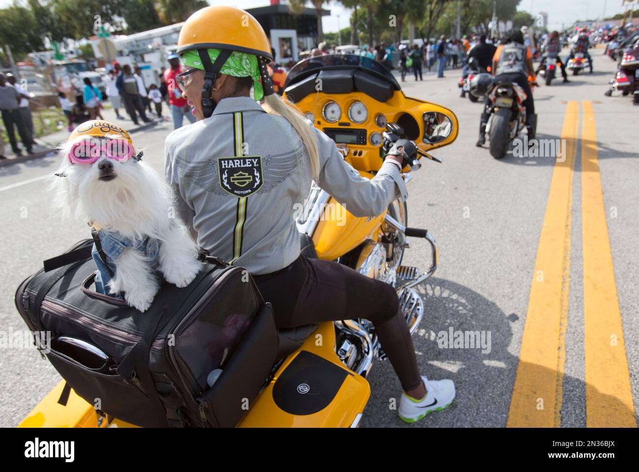 Mary Faison and her Maltese dog "Sugar," wait with a group of ...