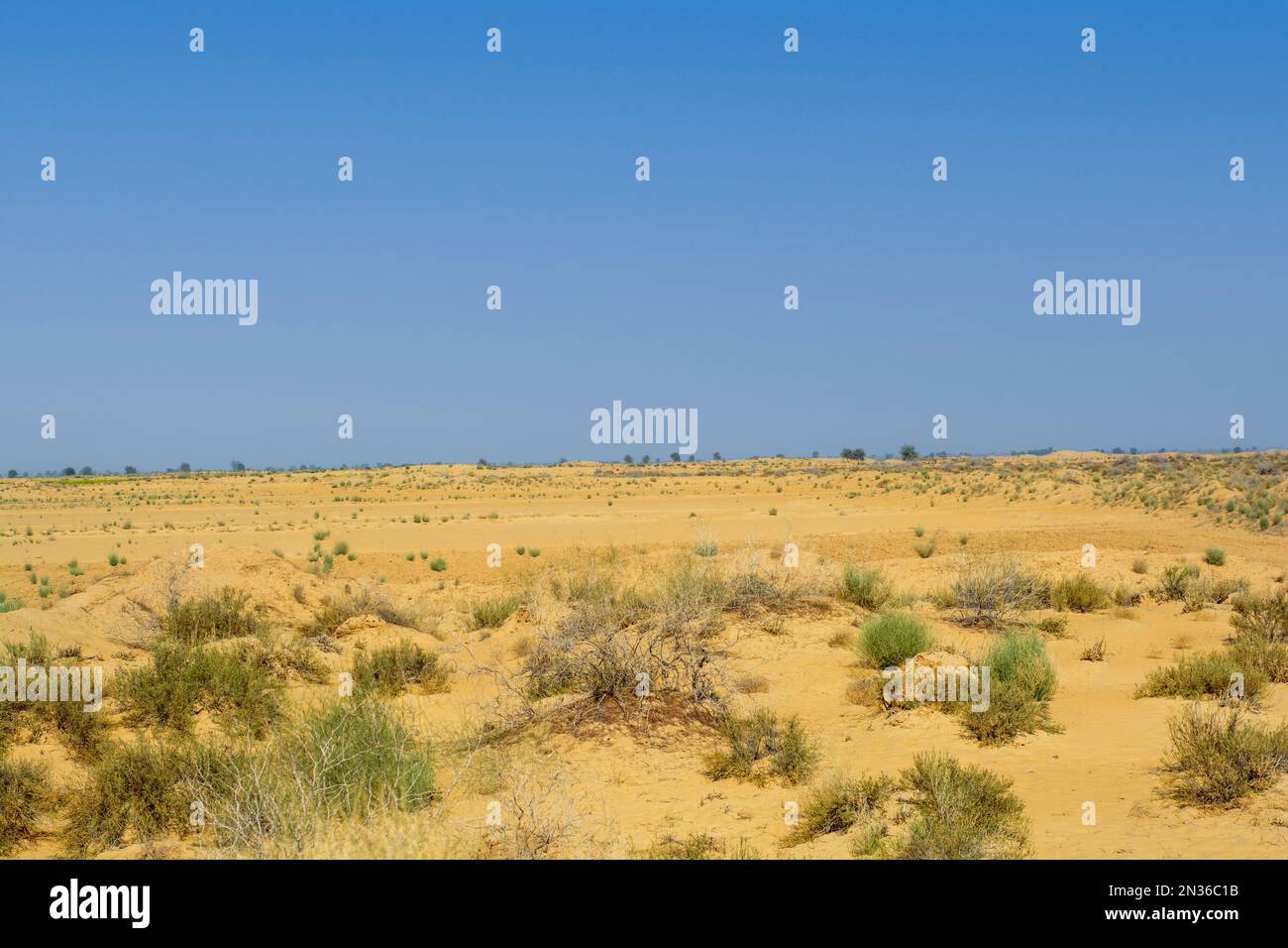 Thar desert sunrise hi-res stock photography and images - Alamy