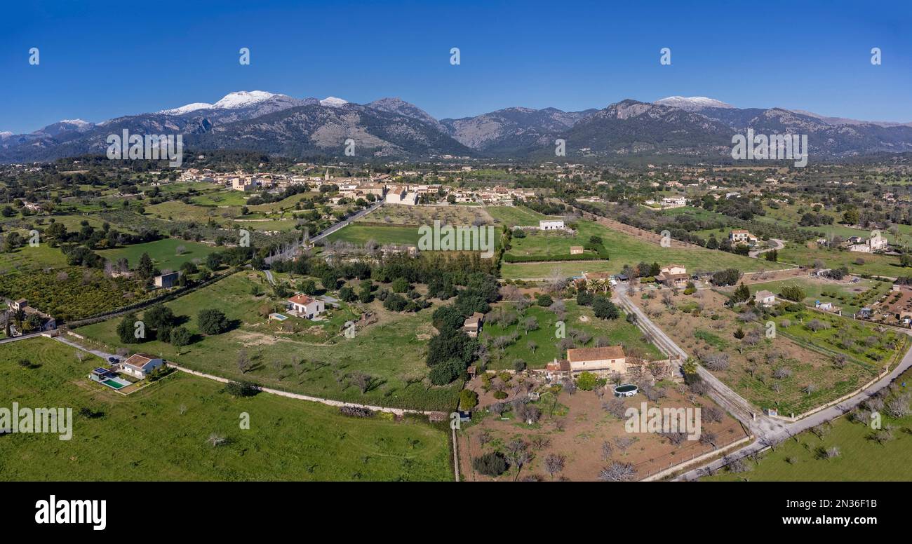 Moscari majorca hi-res stock photography and images - Alamy