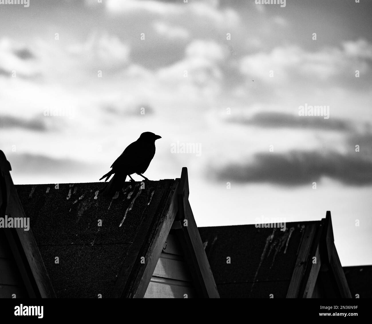 Winter hut people Black and White Stock Photos & Images - Alamy